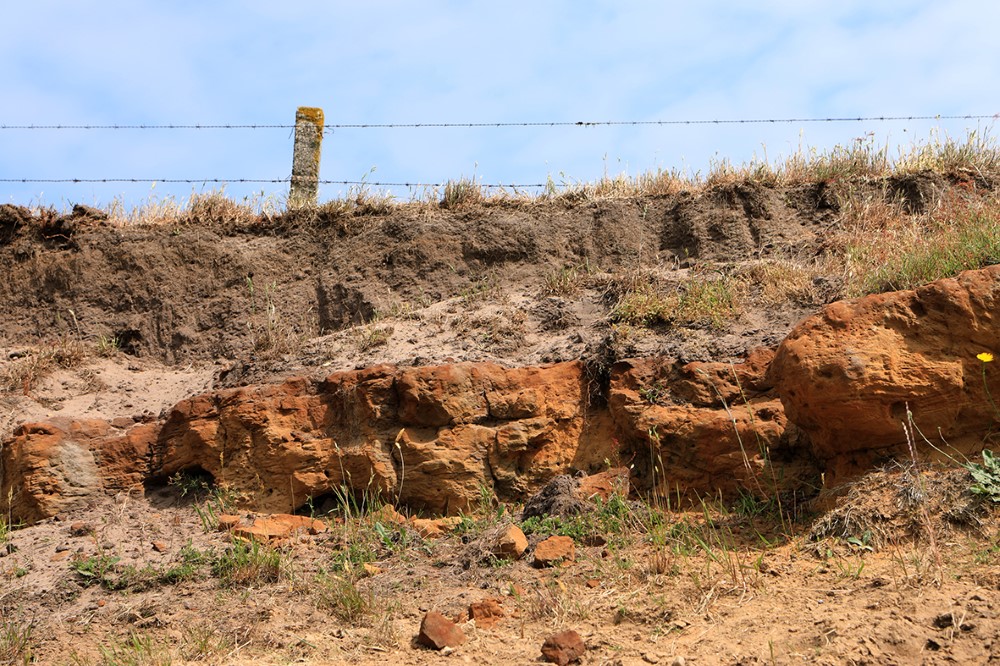 Natuurfotograaf Jan Tijsma bij KBO/PCOB
